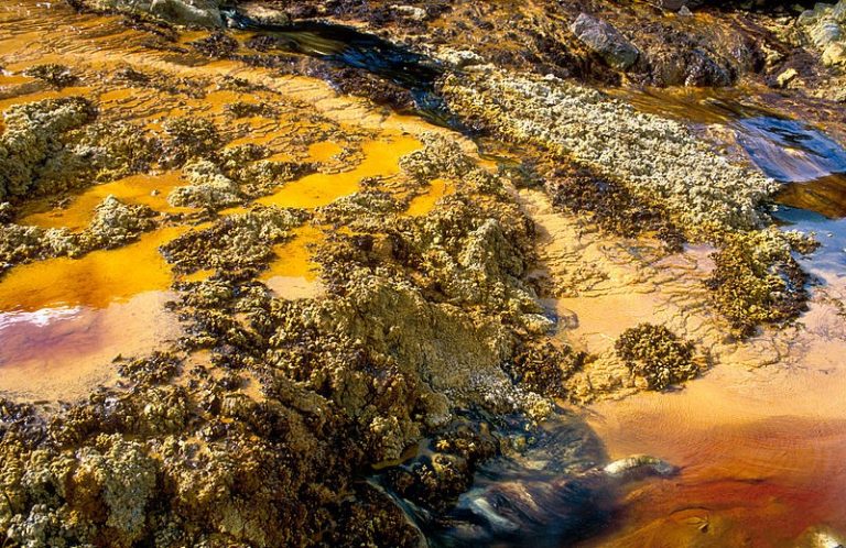 What is soil pollution? - Nothing Creative